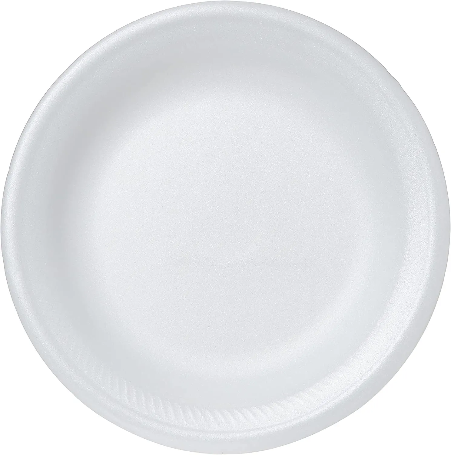 Disposable Foam Plates 10 inch 25-Pack White