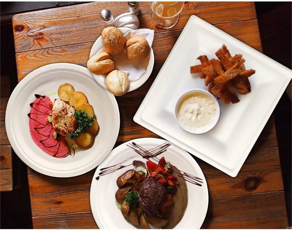 Disposable Foam Plates 10 inch 25-Pack White