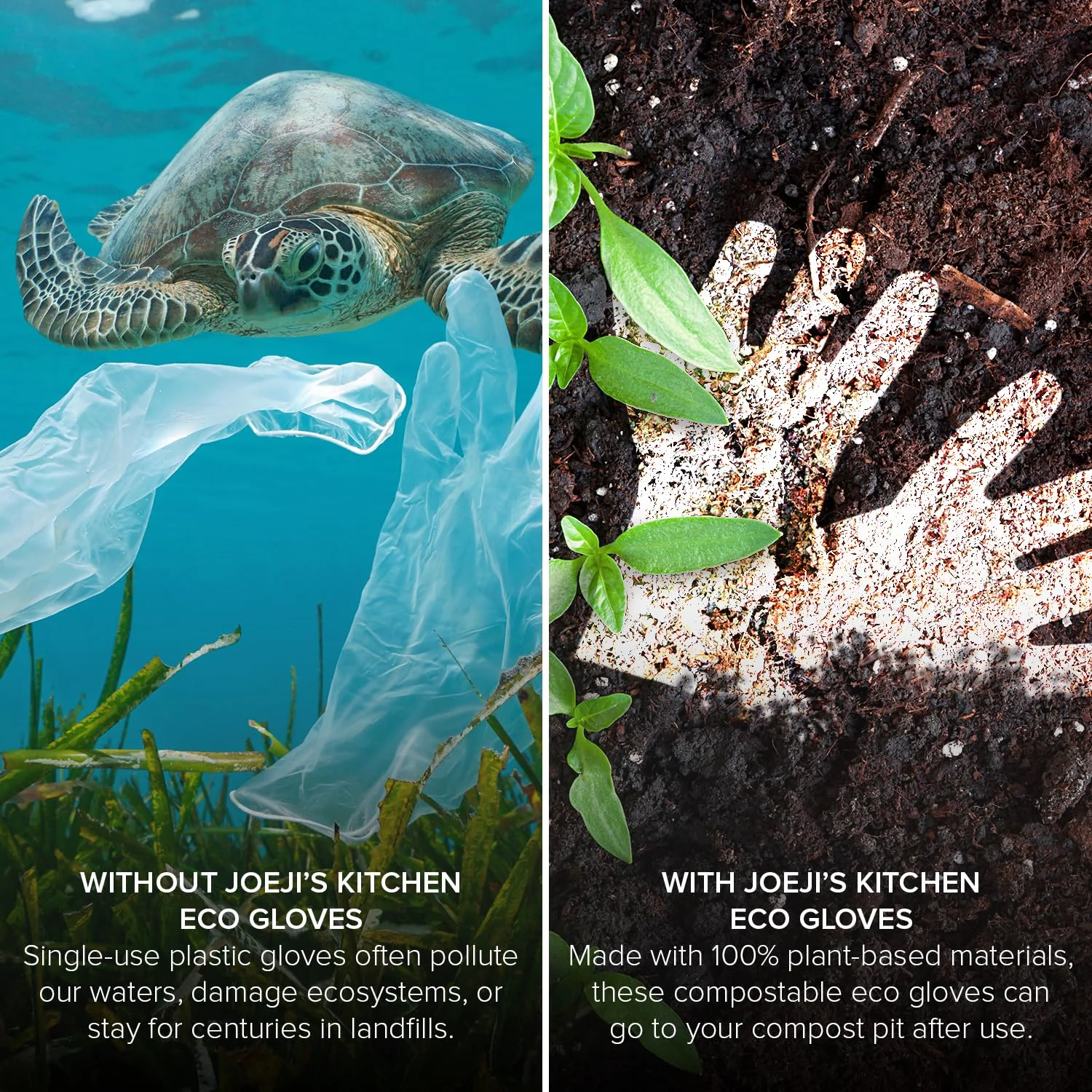 Eco Friendly Disposable Gloves - Compostable Food Prep